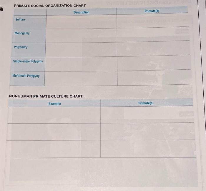 PRIMATE BEHAVIOR CHART Example Primate(s) Affiliative | Chegg.com