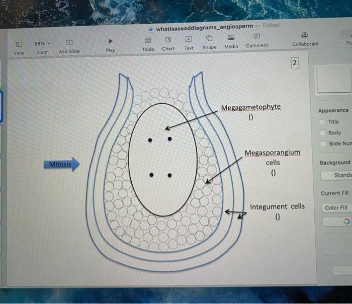 Solved (a) Megasporangium cells (a) Integument cells | Chegg.com