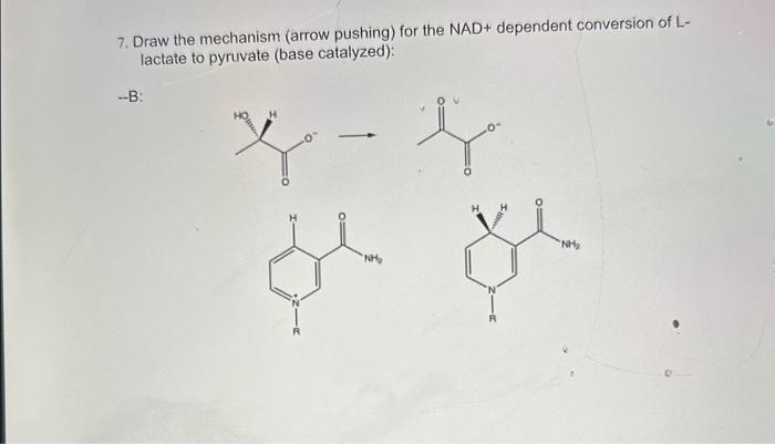 Solved 7. Draw the mechanism (arrow pushing) for the NAD+ | Chegg.com