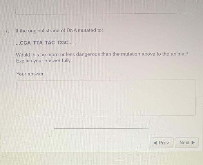 Solved Original strand of DNA ...CGA ATA TAC CGC..... | Chegg.com