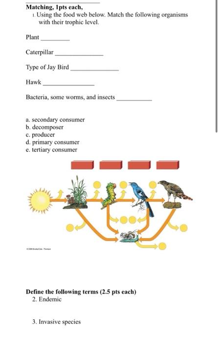Solved Matching, 1pts each, 1. Using the food web below. | Chegg.com