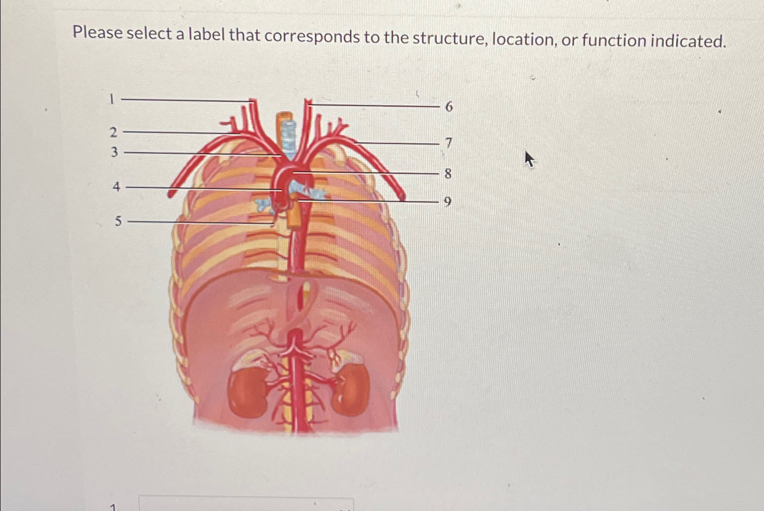 Solved Please select a label that corresponds to the | Chegg.com