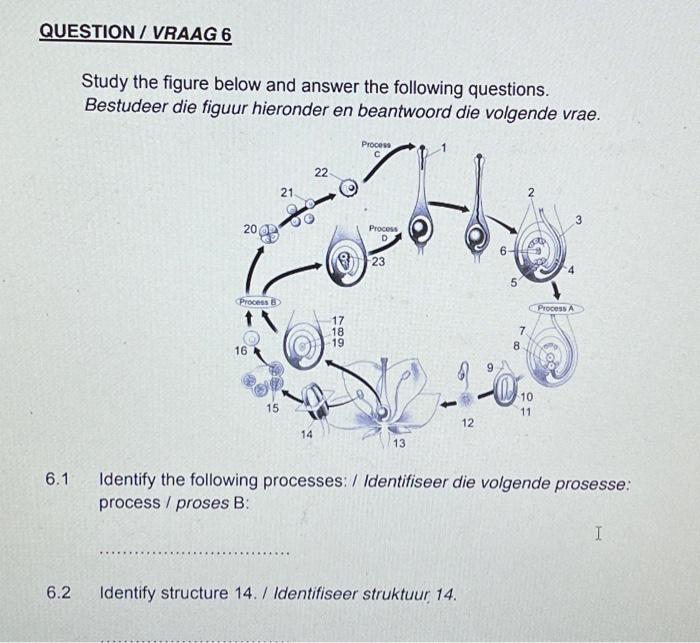 Solved Study the figure below and answer the following | Chegg.com