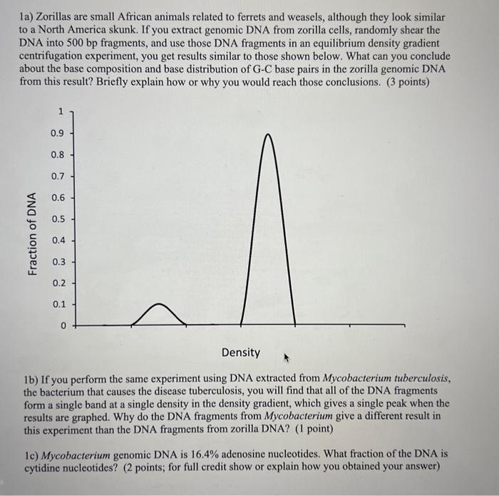 Solved 1a) Zorillas are small African animals related to | Chegg.com