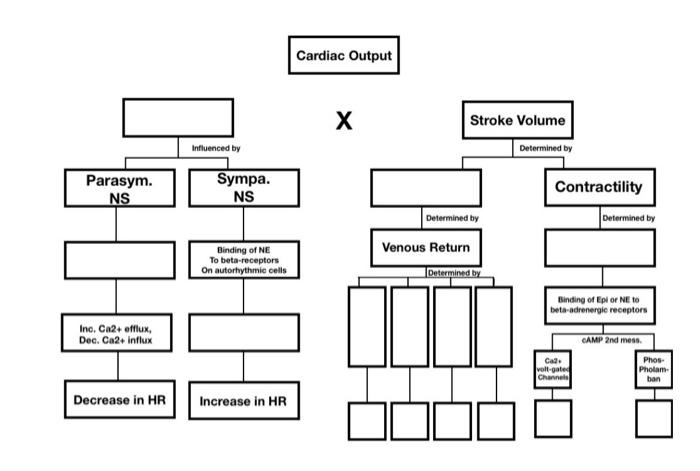 Solved Cardiac Output | Chegg.com