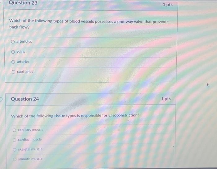 Solved Which of the following types of blood vessels | Chegg.com