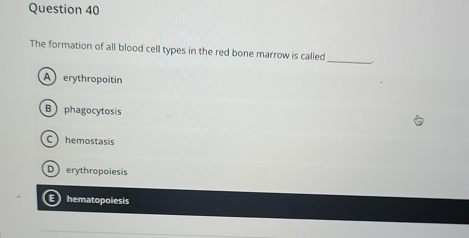 Solved Question 40 The formation of all blood cell types in | Chegg.com