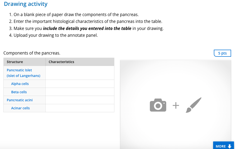 Solved Drawing activityOn a blank piece of paper draw the | Chegg.com