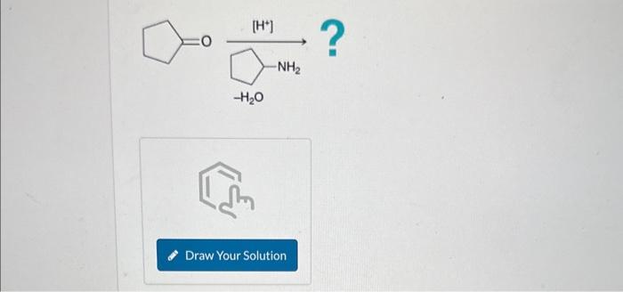 Solved Draw Your Solution | Chegg.com