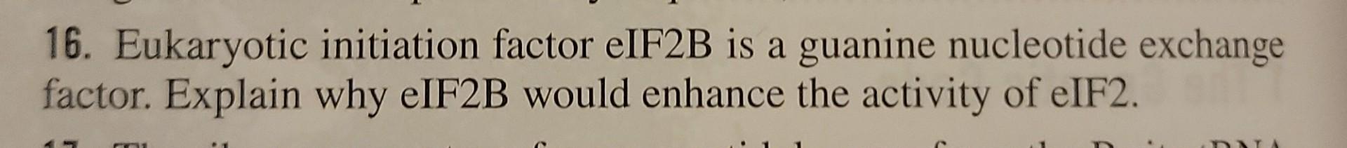 Solved 16. Eukaryotic initiation factor eIF2B is a guanine | Chegg.com