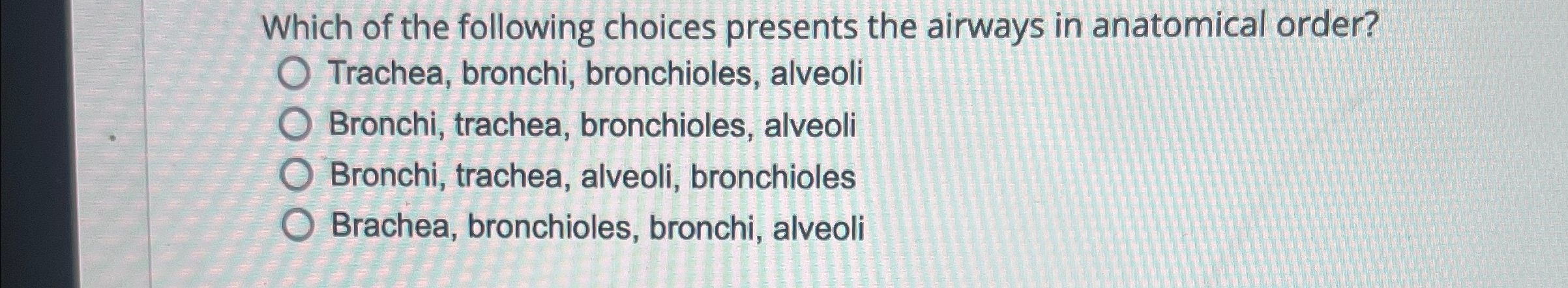 Solved Which of the following choices presents the airways | Chegg.com