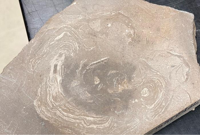 Solved can describe a rock base of this following:*Dunham | Chegg.com