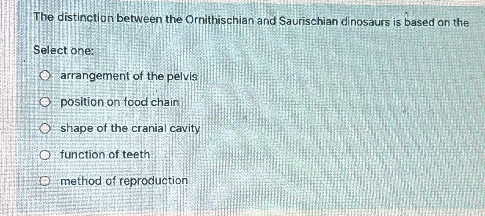 Solved The distinction between the Ornithischian and | Chegg.com