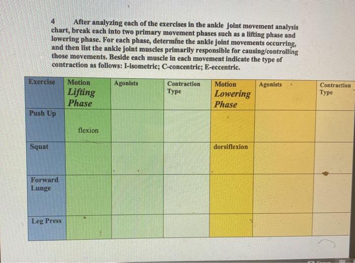 Solved After analyzing each of the exercises in the ankle | Chegg.com