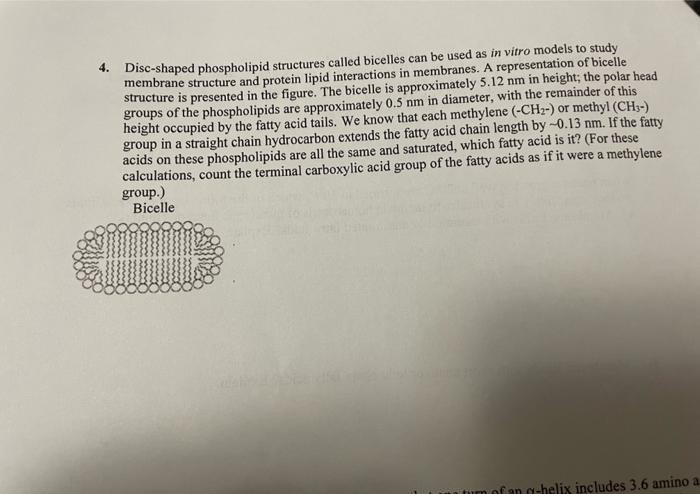 Solved 4. Disc-shaped phospholipid structures called | Chegg.com