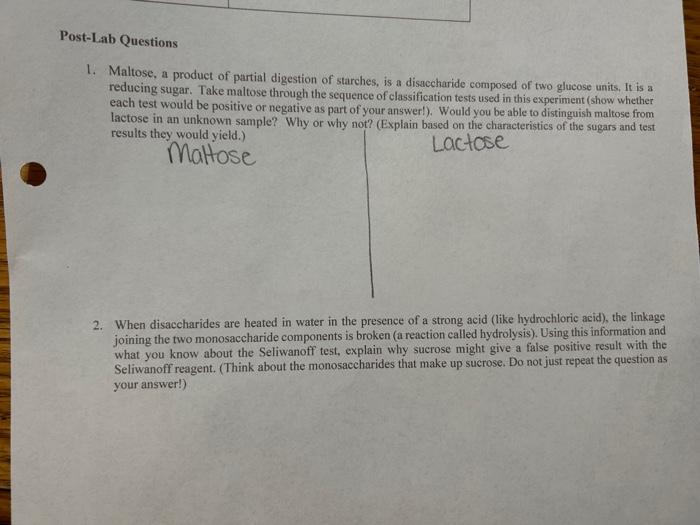 Solved ost-Lab Questions 1. Maltose, a product of partial | Chegg.com