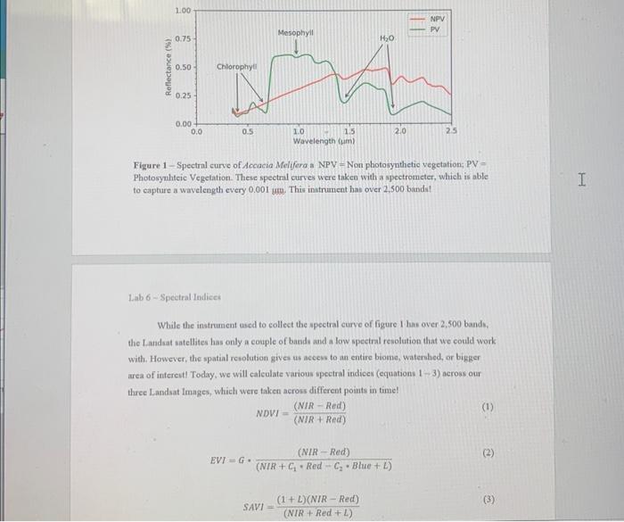Solved Soil Adjusted Vegetation Index (SAVI): SAVI is | Chegg.com