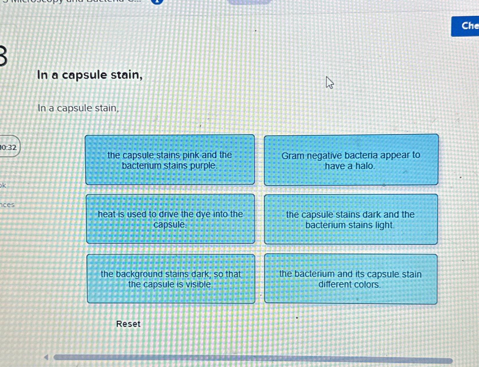 Solved In a capsule stain,In a capsule stain,the capsule | Chegg.com