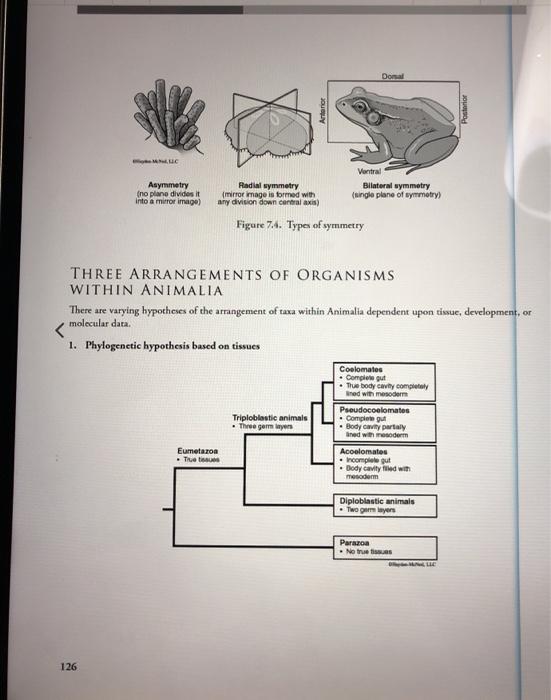 Solved Questions 1. Place the following taxonomic names on | Chegg.com