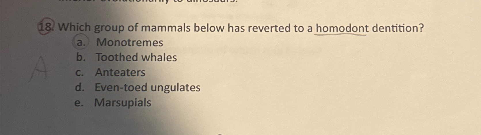 Solved Which group of mammals below has reverted to a | Chegg.com