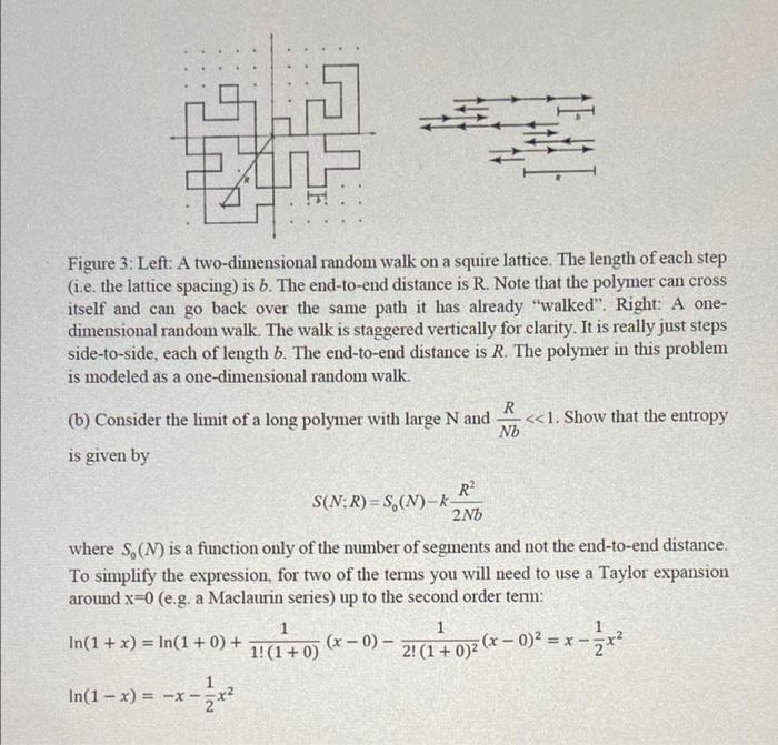 为了 Figure 3: Left: A two-dimensional random walk on a | Chegg.com