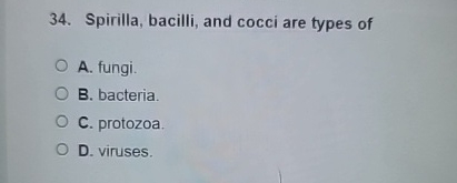 Solved Spirilla, bacilli, and cocci are types ofA. ﻿fungi.B. | Chegg.com