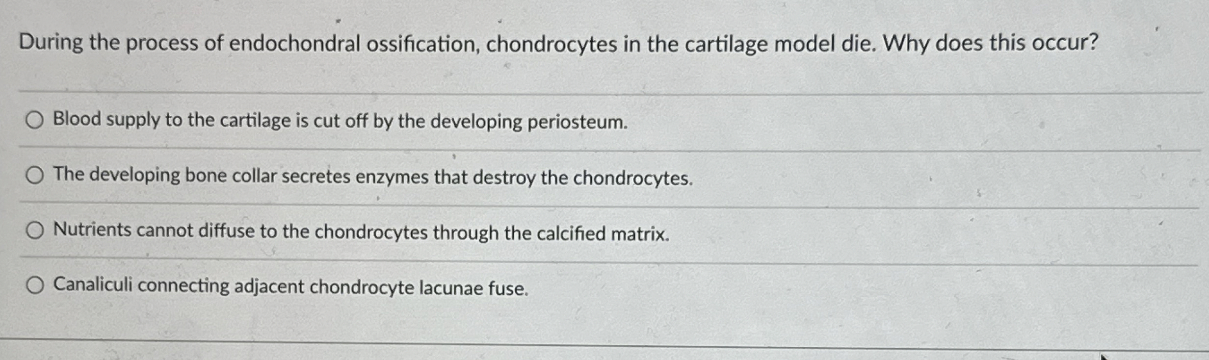 Solved During the process of endochondral ossification, | Chegg.com