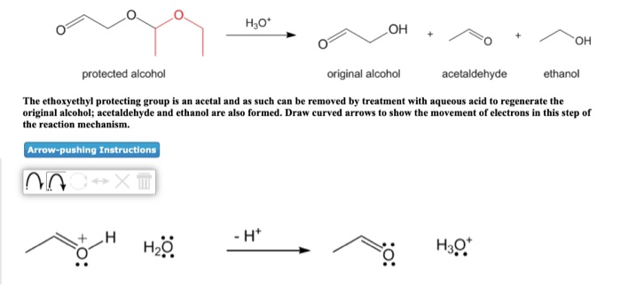 Solved NHCH3 O CH3NH2 CH3 CH3 H3C H3C Nucleophiles, such as | Chegg.com