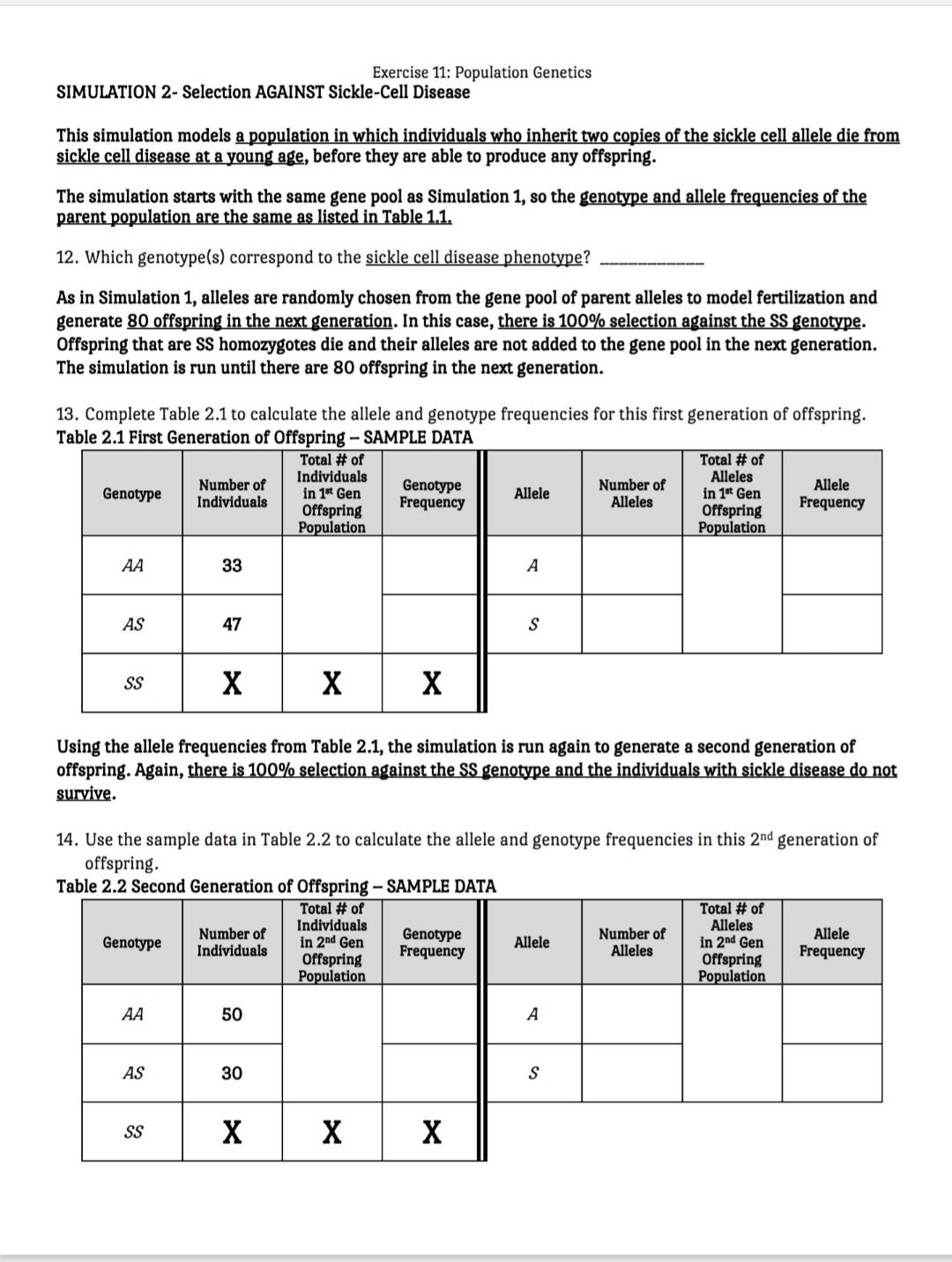 Solved Exercise 11: Population Genetics SIMULATION 3 - | Chegg.com