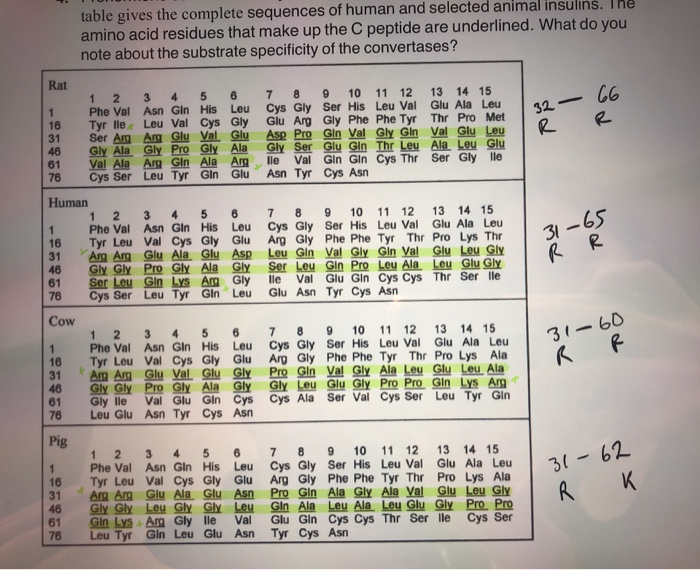 4. Prohormone convertase enzymes convert proinsulin | Chegg.com