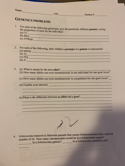 Solved Name UIN Section # GENETICS PROBLEMS For each of the | Chegg.com