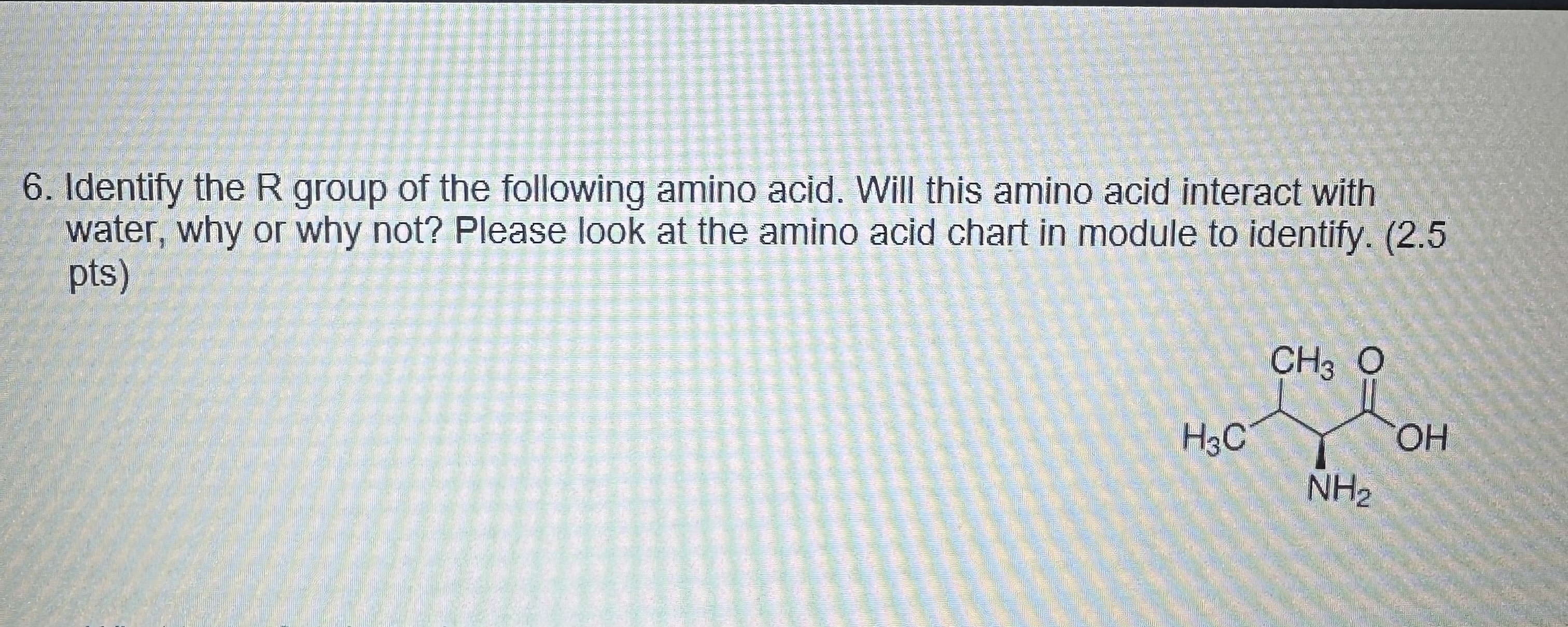 Solved Identify the R group of the following amino acid. | Chegg.com