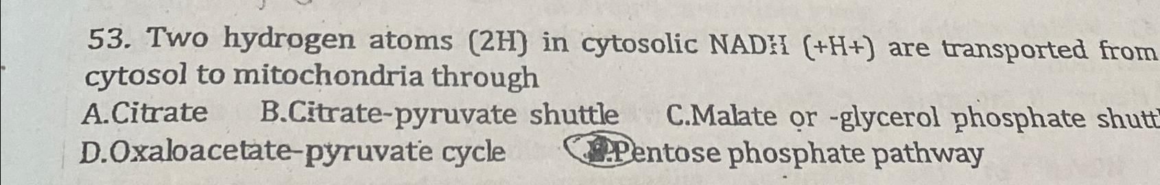 Solved Two hydrogen atoms (2H) ﻿in cytosolic NAD:I (+H+) | Chegg.com
