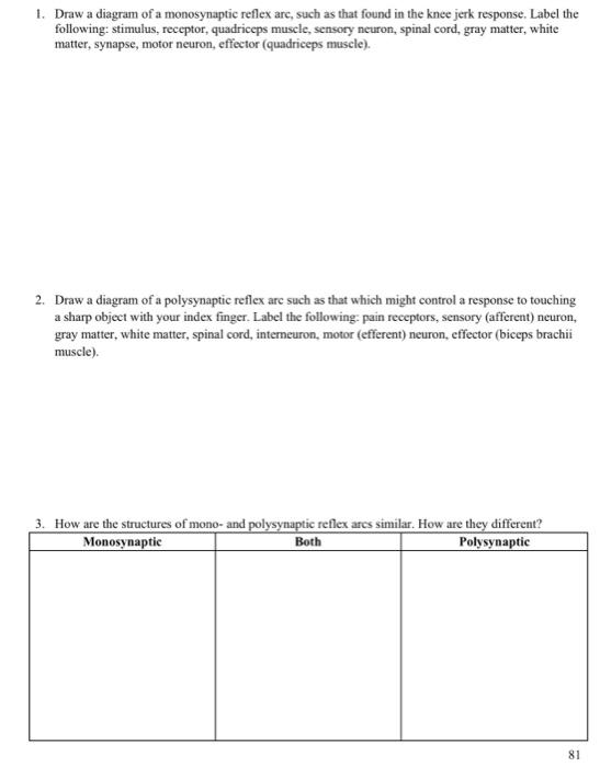 Solved 1. Draw a diagram of a monosynaptic reflex arc, such | Chegg.com