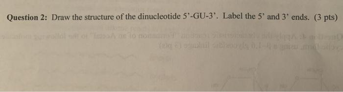 Solved Question 2: Draw the structure of the dinucleotide | Chegg.com