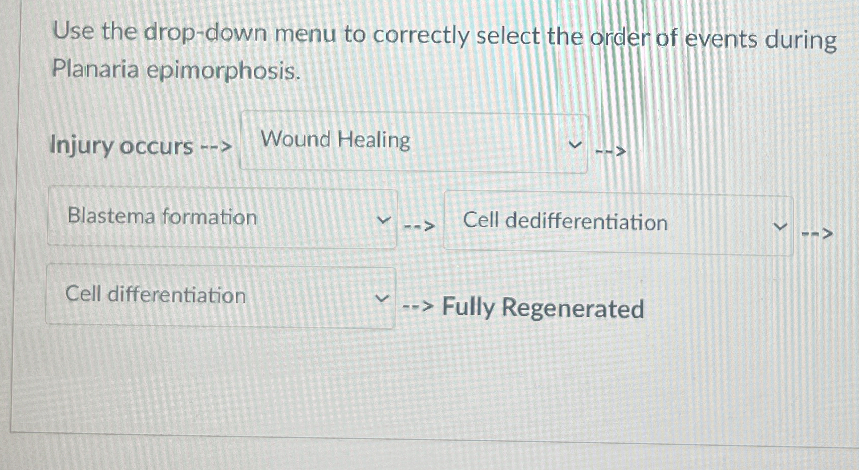 Solved Use the drop-down menu to correctly select the order | Chegg.com