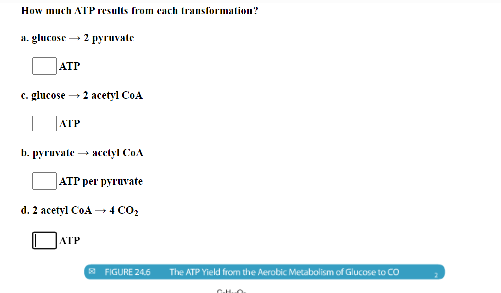 Solved How much ATP results from each transformation?a. | Chegg.com