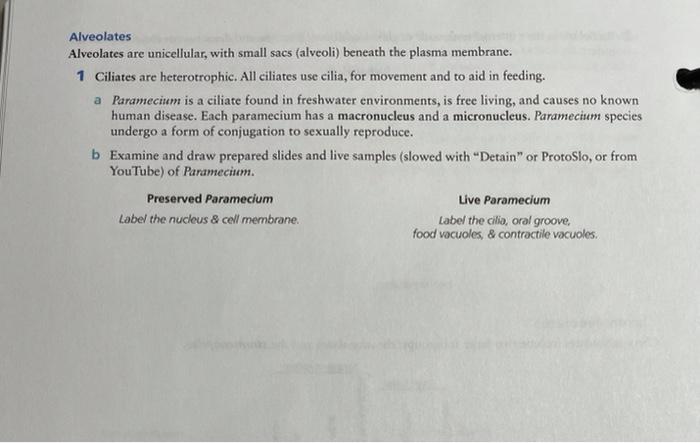 Solved Rhizarians Although they are not related to | Chegg.com