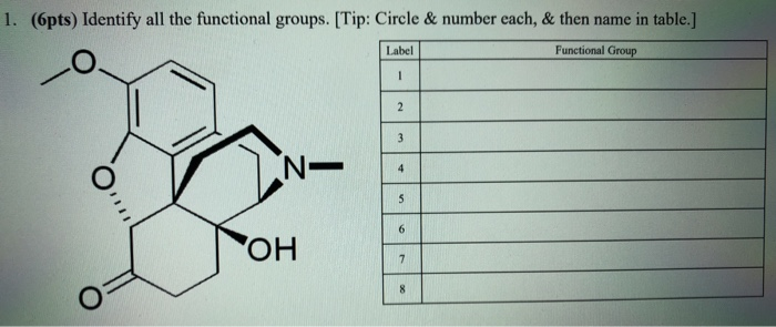 Solved 1. (6pts) Identify all the functional groups. [Tip: | Chegg.com