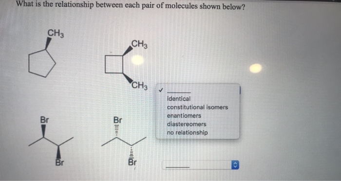Solved What is the relationship between each pair of | Chegg.com