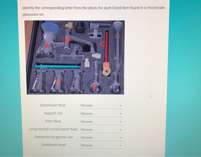 Solved Identify the corresponding letter from the photo for | Chegg.com