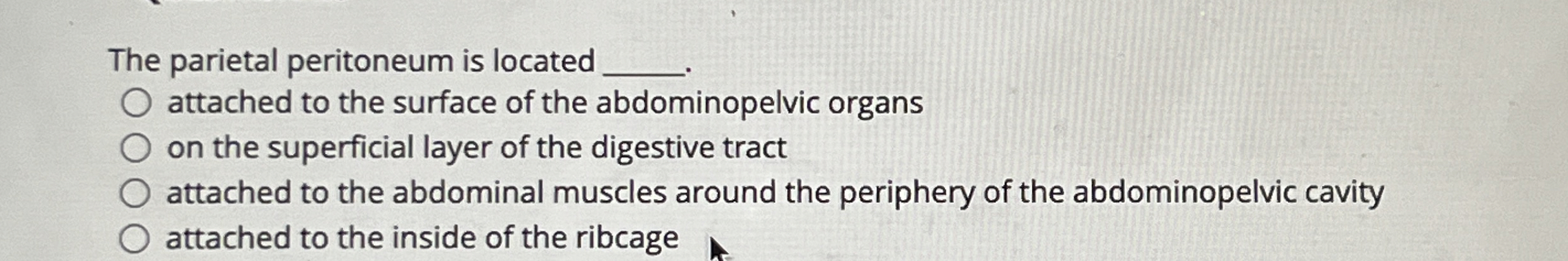 Solved The parietal peritoneum is located q,attached to the | Chegg.com