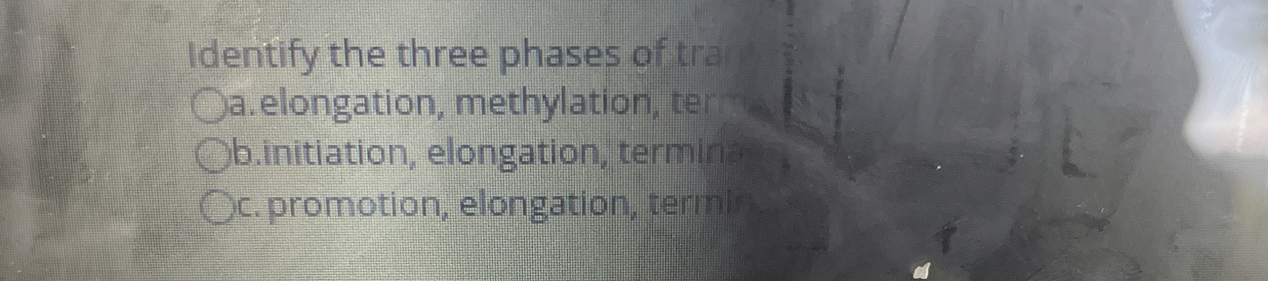Solved entify the three phases of traa.elongation, | Chegg.com