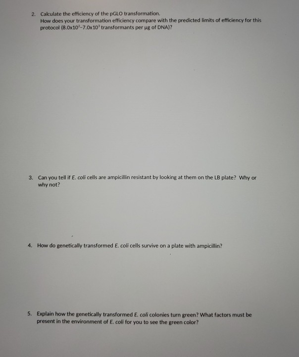 Solved 1. Describe your expected results from the PGLO | Chegg.com