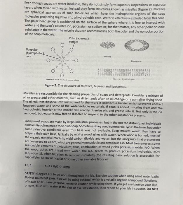 Solved The Properties and Synthesis of Soap Introduction | Chegg.com