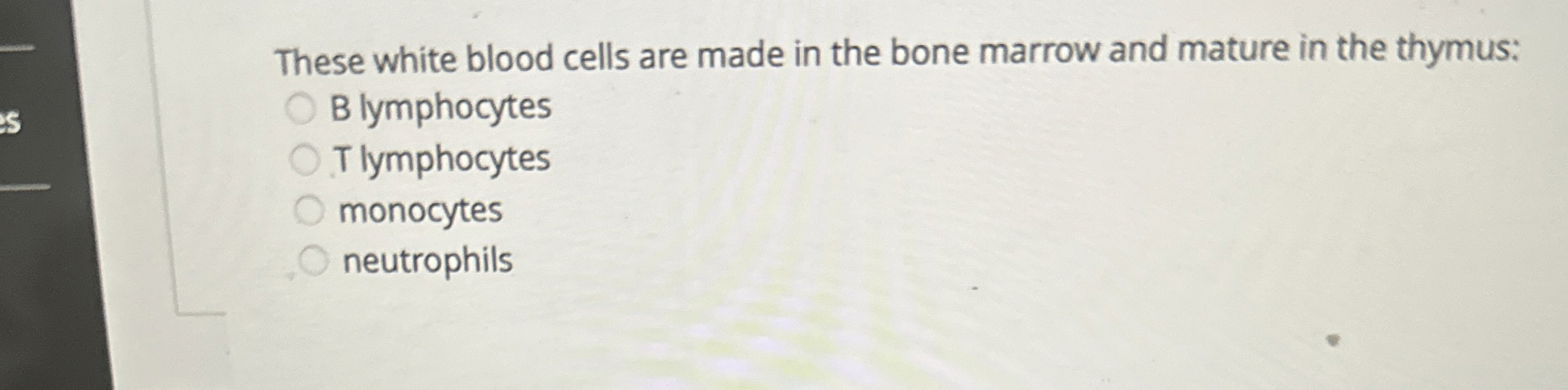 Solved These white blood cells are made in the bone marrow | Chegg.com