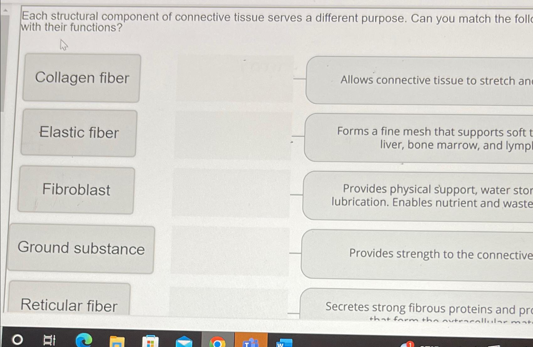 Solved Each structural component of connective tissue serves | Chegg.com
