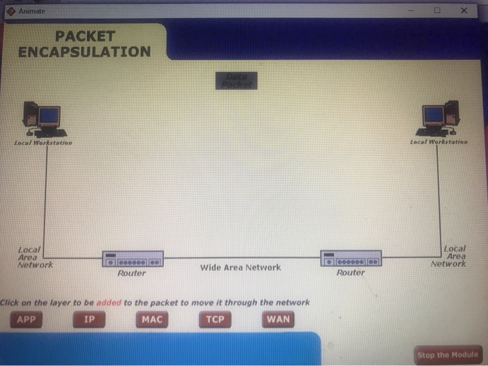 To gain a better understanding of the layers in a | Chegg.com