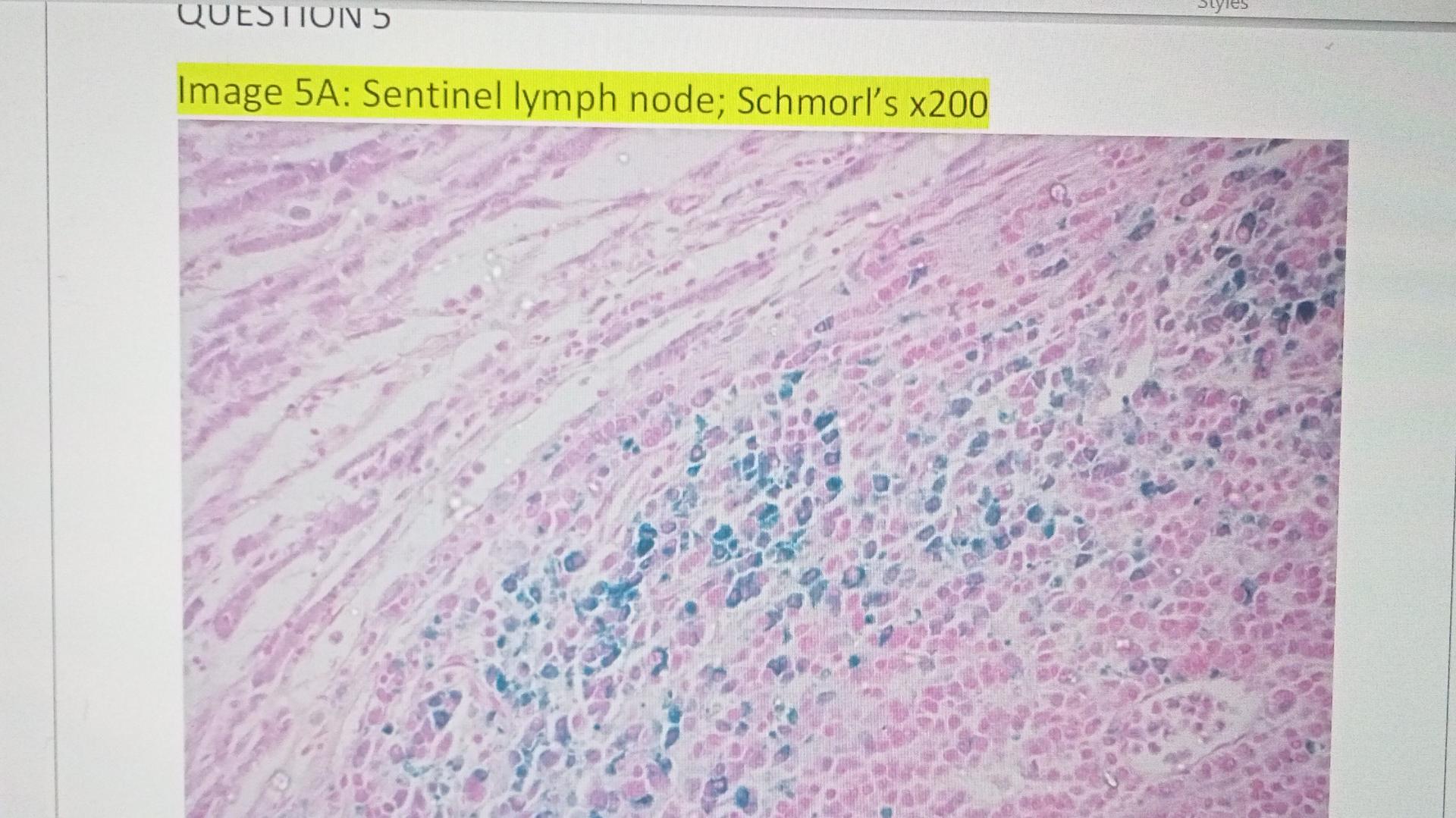 Solved Scenario: This section from Mr Mel Smith (image 5A) | Chegg.com