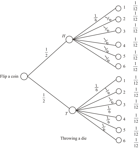 Solved Tree Diagram a Draw A Tree Diagram To Display All The Pos Chegg